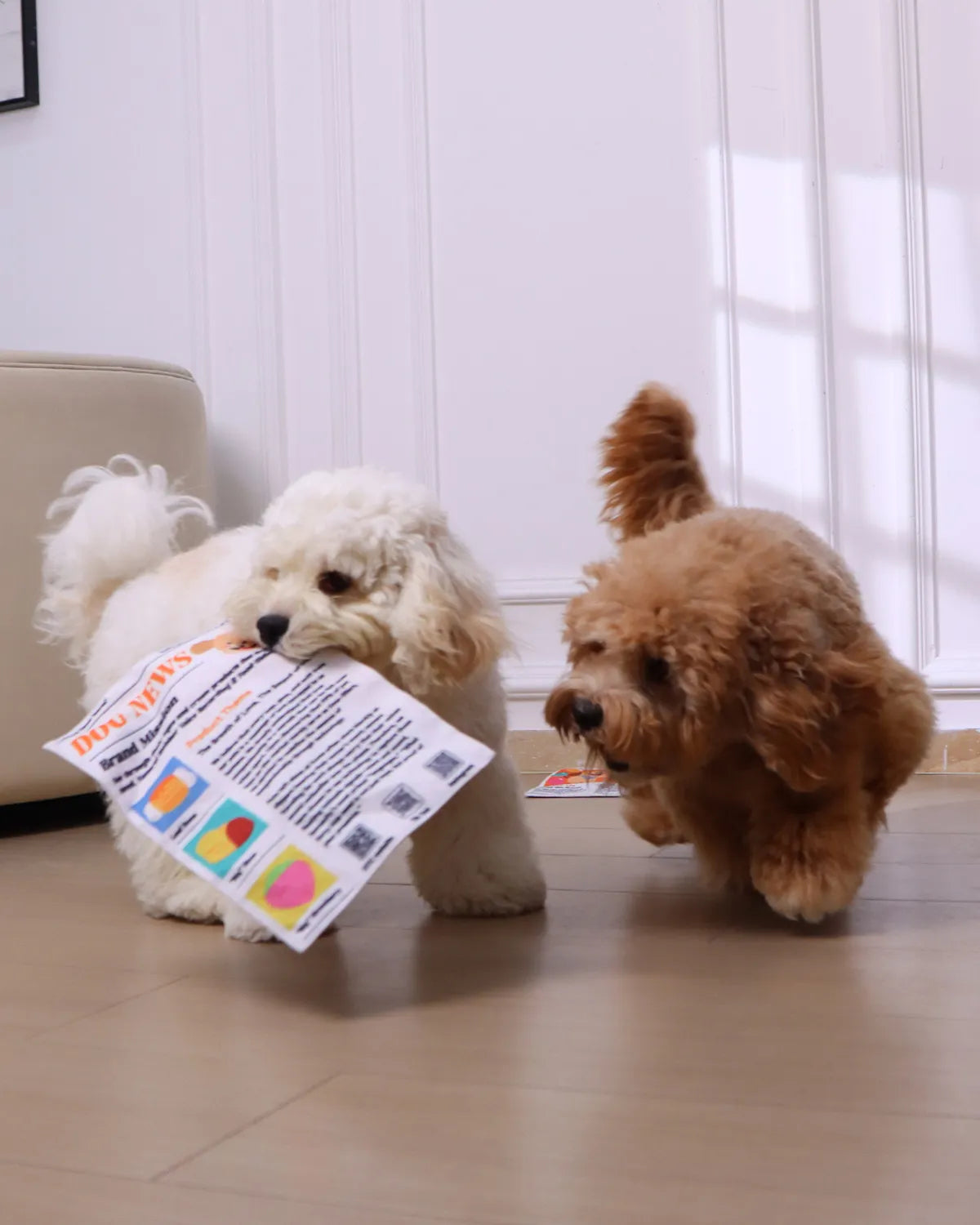 🐶 How to Train Your Dog With a Newspaper Toy — Fun, Simple & Surpr ...
